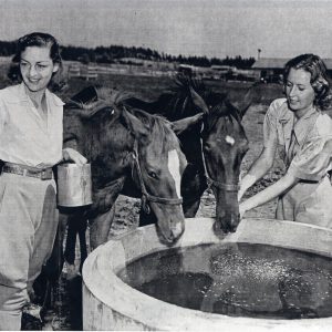 How Many Films did Barbara Stanwyck and Robert Taylor Star in Together ...